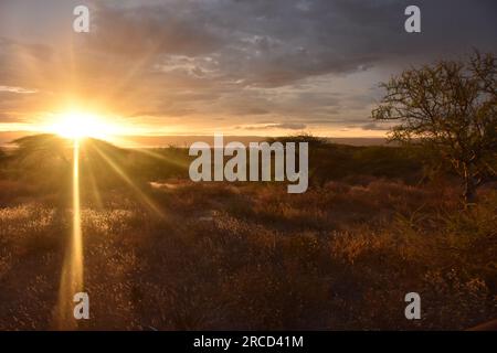 Beautiful African sunset. Photographed in Kenya in April Stock Photo ...