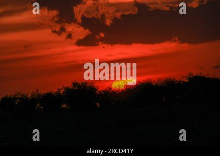 Beautiful African sunset. Photographed in Kenya in April Stock Photo ...