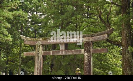 Torii Gate of the Futarasan jinja shrine in Nikko city, Japan Stock ...