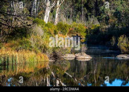 Platypus Pool at Cypress Pine Camping area, Boonoo Boonoo National Park ...