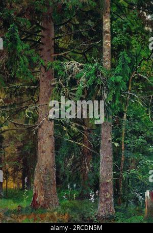 Fir forest 1890 by Ivan Shishkin Stock Photo - Alamy