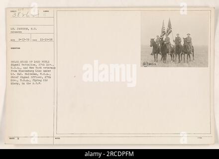 U.S. Soldiers from the 102d Signal Battalion render honors while the ...