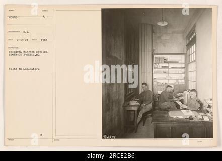 A scene in Laboratory at Edgewood Arsenal, MD, during World War One ...