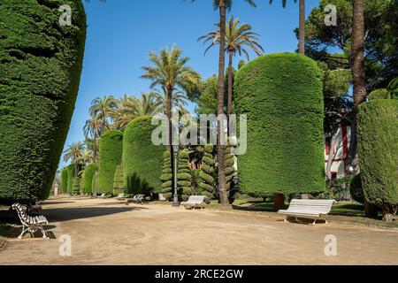 Spain, Andalusia, Cadiz, Parque Genoves Stock Photo - Alamy