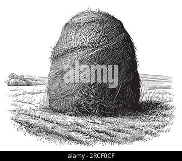 Hay bale farm drawing sketch. Hand drawn haystack set. Isolated vector ...