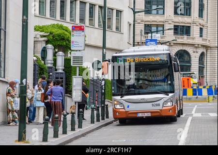 Bus stib in the center of Brussels | Bus STIB dans le centre de ...