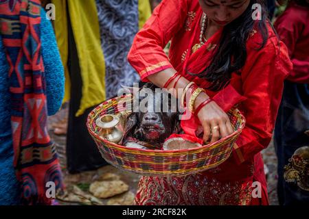 Dashain celebrations at Dakshinkali Temple, Kathmandu, Nepal Stock ...
