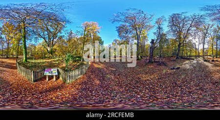 360° view of Knightwood Oak inclosure in the New Forest National Park ...