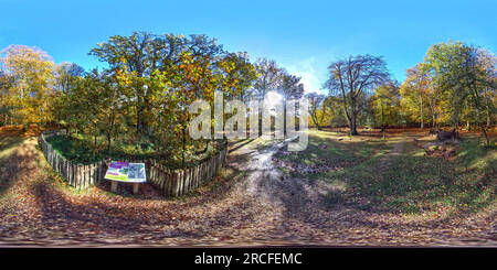 360° view of Knightwood Oak inclosure in the New Forest National Park ...