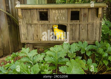 House of Cats on the historical Deetjen's Big Sur Inn property in Big ...