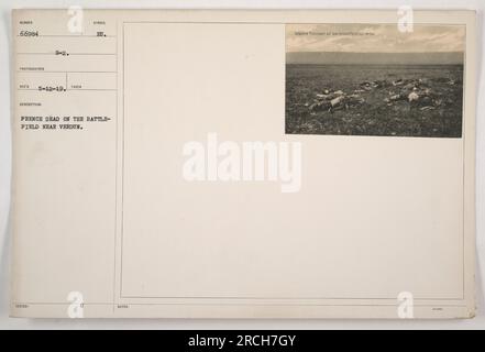 World War 1: Battle of Verdun. Human bones were the ghastly mementos of ...