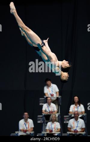 Samuel Fricker and Shixin Li of Australia competes in the Men's diving ...
