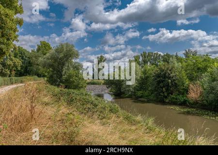 Renatured river landscape at the Nidda in Frankfurt, Germany Stock ...