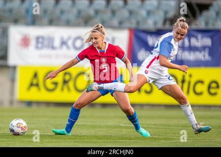 Opava, Czech Republic. 14th July, 2023. Slovakia women's national football team pose for ...