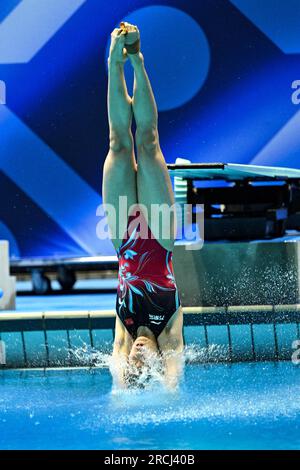 Li Yajie of China competes in the women's 1m springboard diving ...