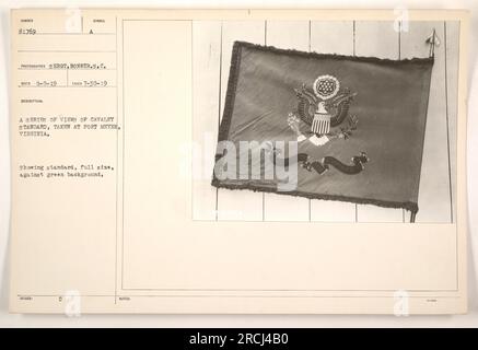 UNIFORMS- SERGEANT, SIGNAL CORPS, ARMY Stock Photo - Alamy