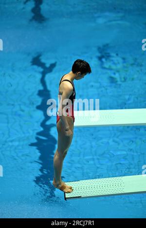 Silver medalist Li Yajie of China celebrates on the podium after the ...