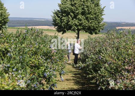 Langenwolschendorf, Germany. 15th July, 2023. The 4th Thuringian ...
