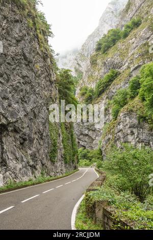 Los Beyos Gorge from the road Stock Photo - Alamy