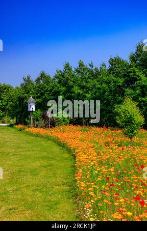 A traditional wooden dovecot rising from an impressive and colourful ...