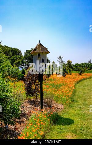 A traditional wooden dovecot rising from an impressive and colourful ...