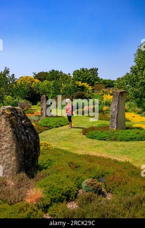 The Holme Henge with its Purbeck stone monoliths and colourful heathers ...