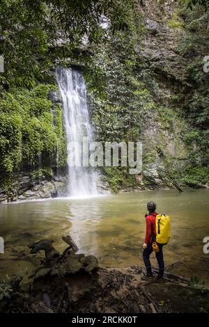 Waterfall on the Paku river, rainforest, Mulu, Malaysia Stock Photo - Alamy