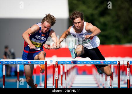 110m hurdles final. European Championships Munich 2022 Stock Photo - Alamy