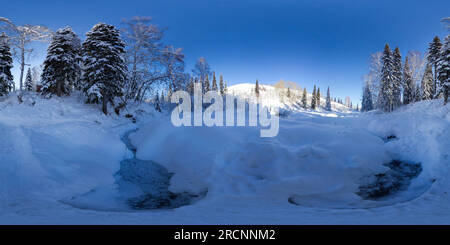 360° view of Forest Zaimka "Zimovsky - Alamy