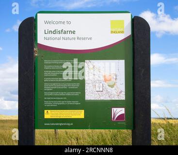 lindisfarne nature reserve at cheswick on the northumberland coast ...