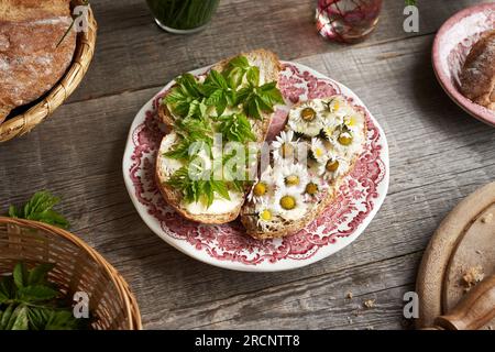 Fresh common daisy and goutweed on slices of bread Stock Photo - Alamy