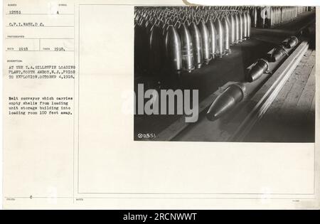 Machinery and conveyor belt used in sorting post consumer waste plastic ...