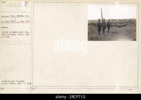 World: c. 1918. Members of the 369th Infantry Regiment band under the ...