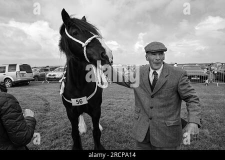 Proud owner with horse at Camborne Show Agricultural show Stock Photo ...