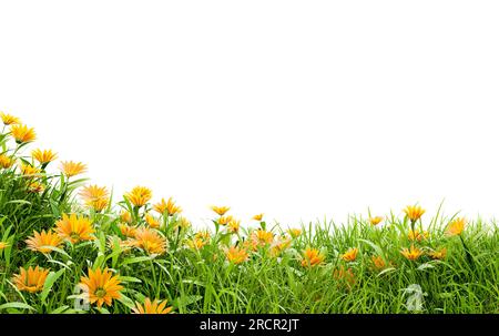 medow field with flower on white background with clipping path, 3d ...