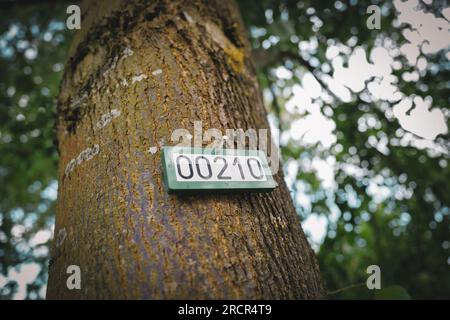 Trees are numbered consecutively with a sign Stock Photo - Alamy
