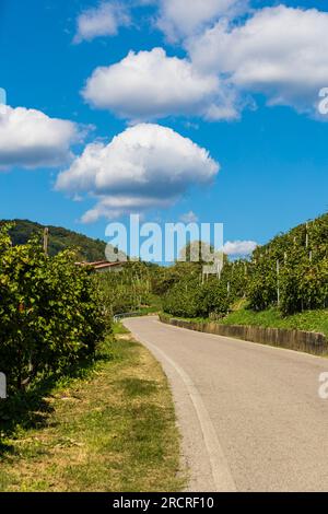 Follo / Prosecco road / Prosecco hills Stock Photo - Alamy