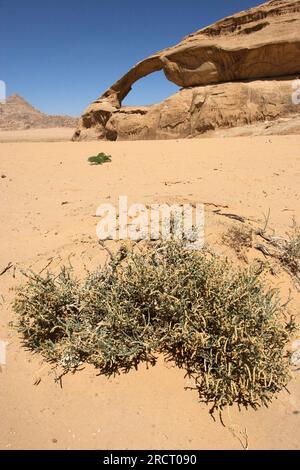 Uadi Rum, Wadi Rum, وادي رم‎, , Wādī Rum, desert, Valley of the Moon ...