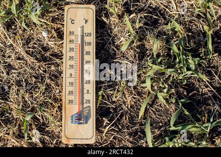 Hot weather. Thermometer lying on dry grass during heatwave. High ...