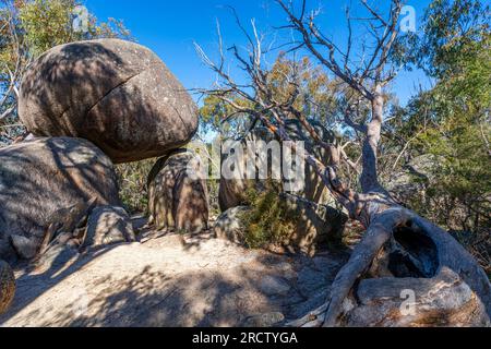 Granite Arch, Pyramid walking track, Girraween National Park, Southeast ...