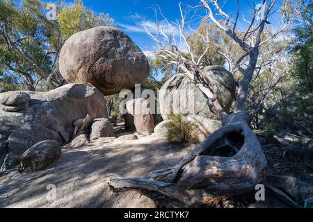 The Granite Arch, Girraween National Park, Granite Belt Queensland ...
