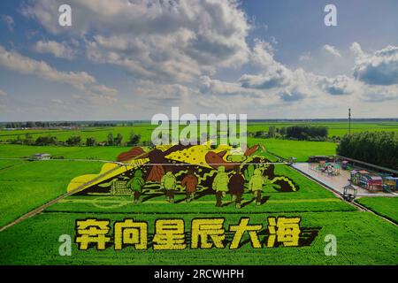 Aerial photo shows spectacular paddy field art displayed in Shenyang ...