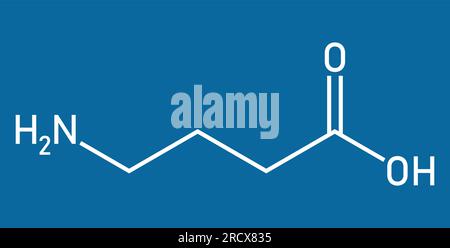 Chemical structure of γ-Aminobutyric acid or gamma-aminobutyric acid or GABA (C4H9NO2). Chemical ...