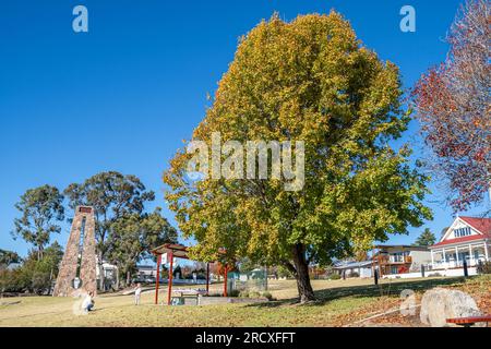 The Big Thermometer on banks of Quart Pot Creek, Stanthorpe, Queensland ...
