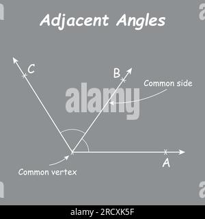 Adjacent angles in mathematics. Two angles with common vertex and side. Vector illustration ...