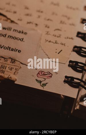 drawing of a delicate rose Stock Photo - Alamy