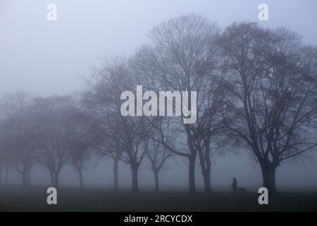 A dense fog wraps a park in Ilford, East London, in the morning Stock ...