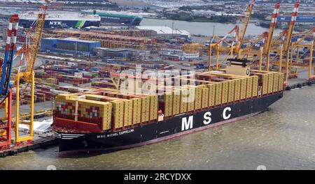 The mega freighter "MSC Michel Cappellini", built in China, lies in the ...