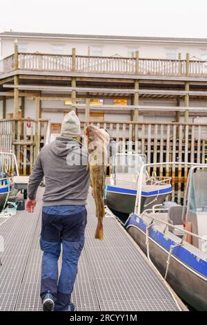 Fisherman with big cod fish. Norwegian fisherman has caught large Cod ...