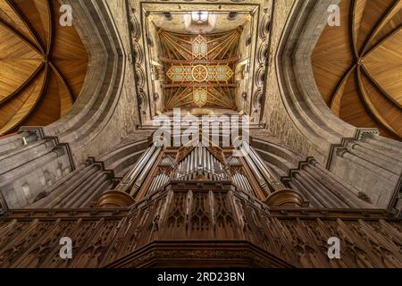 Orgel und Kirchendecke der Kathedrale von St Davids, Wales ...
